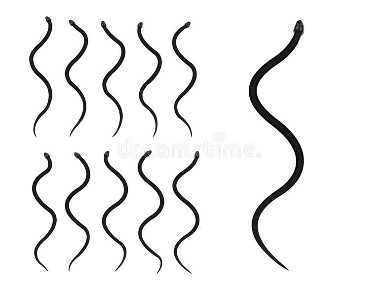 Black Rat Snake Animal Animation Sequence Cartoon Vector Stock Vector ...