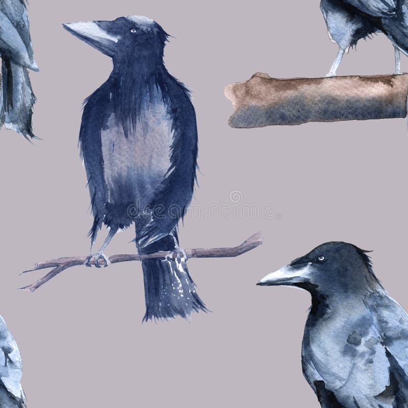 Black Raven Background. Seamless Pattern Stock Illustration ...