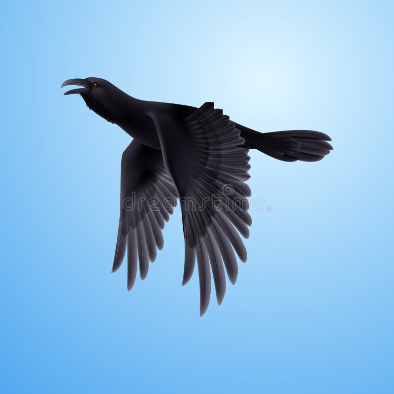 Black Raven on Blue Background Stock Illustration - Illustration of ...