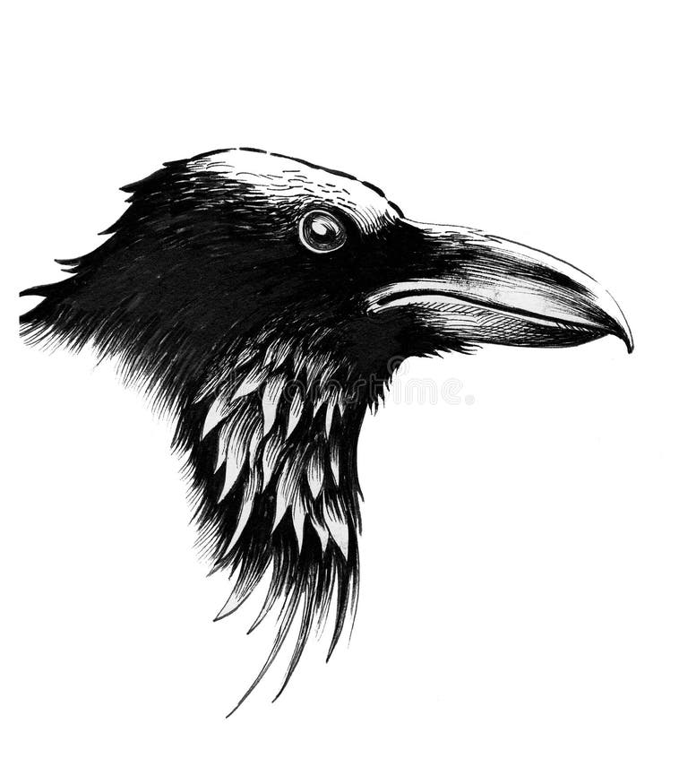 Raven Head Stock Illustrations – 4,124 Raven Head Stock Illustrations ...