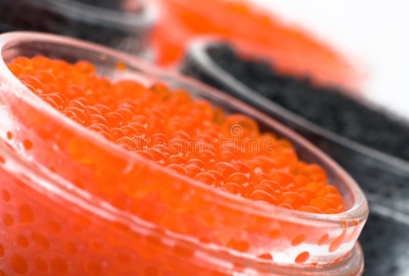 Black caviar with wine stock photo. Image of plate, food - 5526486