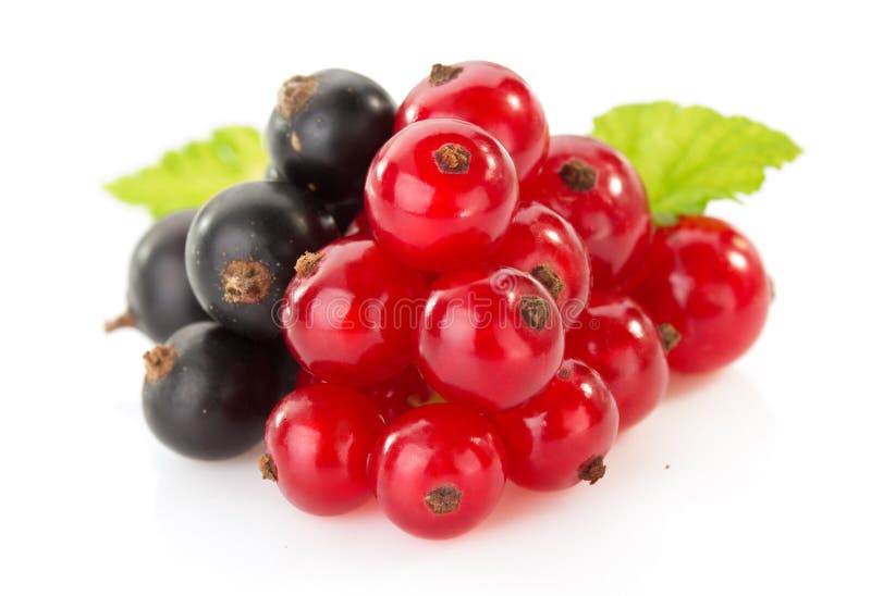 Black and Red Currants on White Stock Photo - Image of closeup, life ...