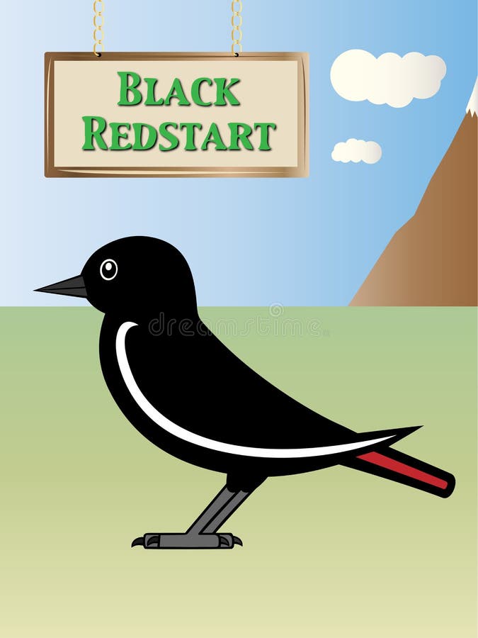 Black Redstart stock vector. Illustration of cloud, european - 67603008