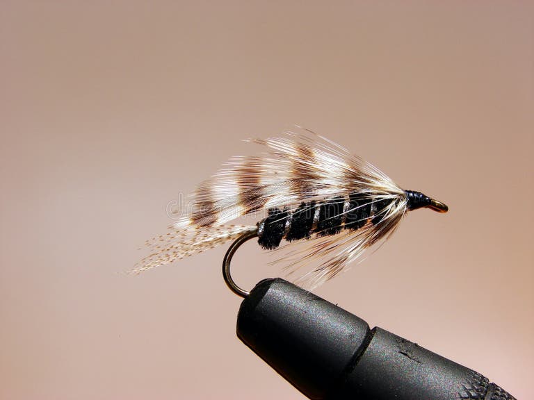 Black Ribbed Fly stock image. Image of tying, minnow, flies - 3725287