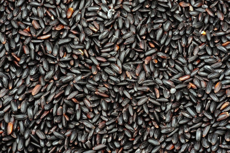 Black Rice stock image. Image of surface, rice, textured - 12292793