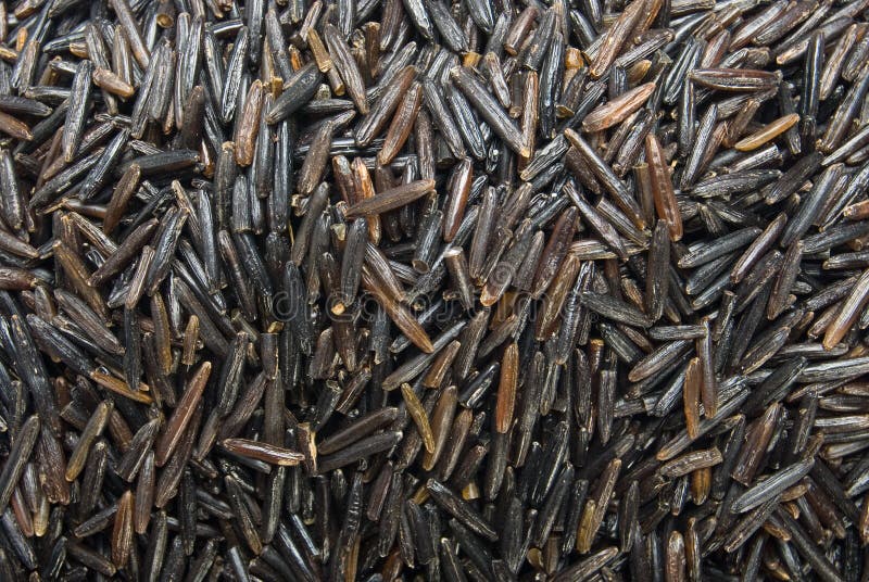 Black rice stock image. Image of grain, abundance, organic - 18148763