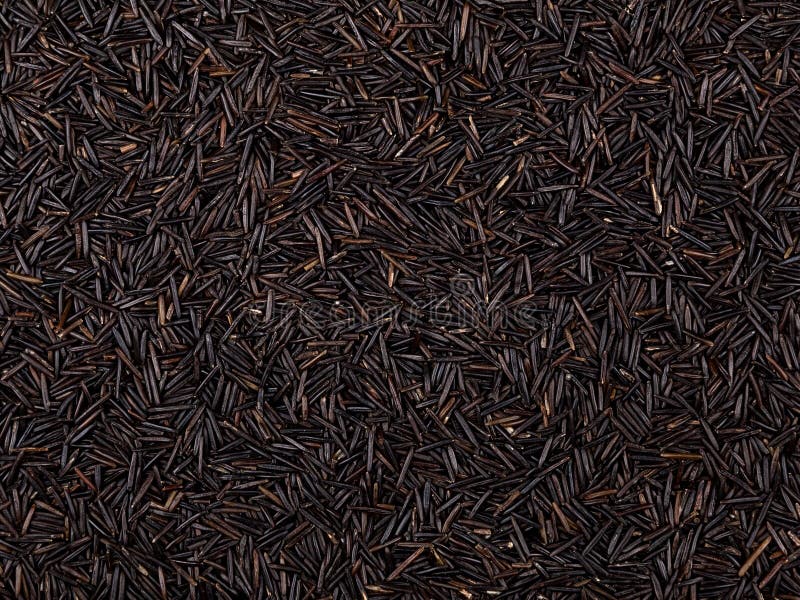 Black Rice stock photo. Image of natural, closeup, close - 27389428