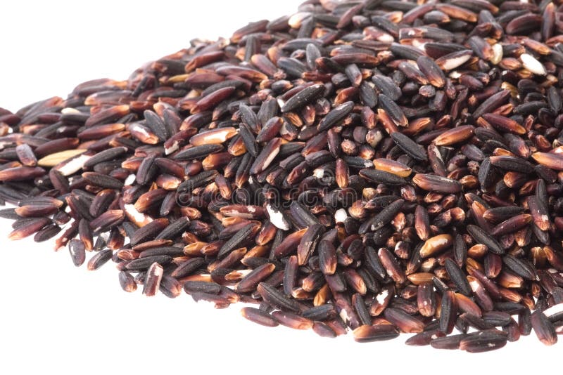 Black rice stock image. Image of black, agriculture, exotic - 6864055
