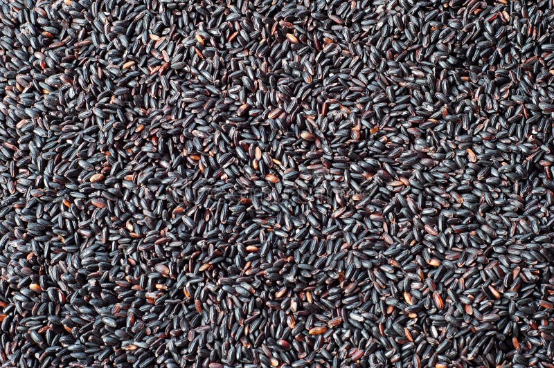 Black Rice Picture. Image: 7054499
