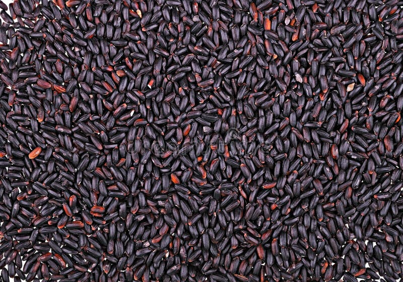 Black rice stock photo. Image of black, brown, detail - 9373132