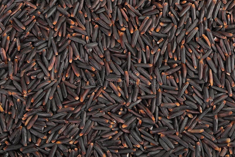 Black Rice As a Background. Top View Stock Image - Image of black, seed ...