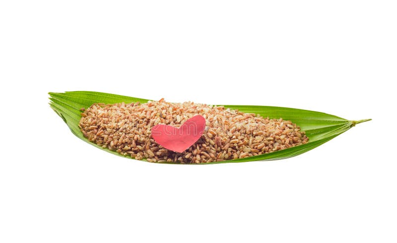 Black rice stock photo. Image of field, food, texture - 70060916