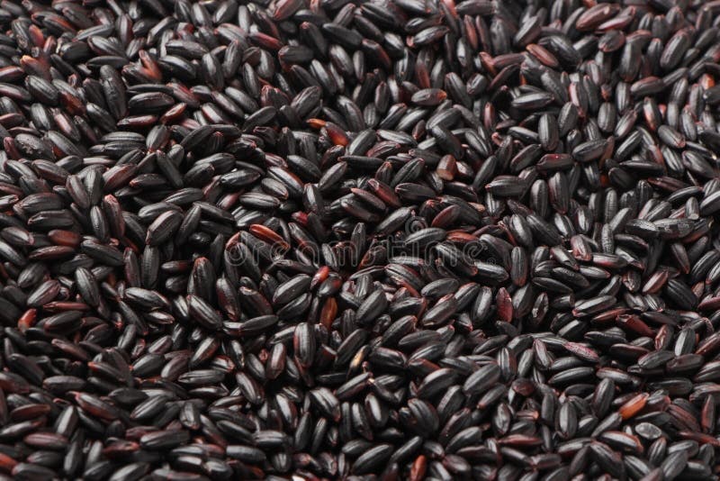 Black rice stock image. Image of background, black, food - 38334955