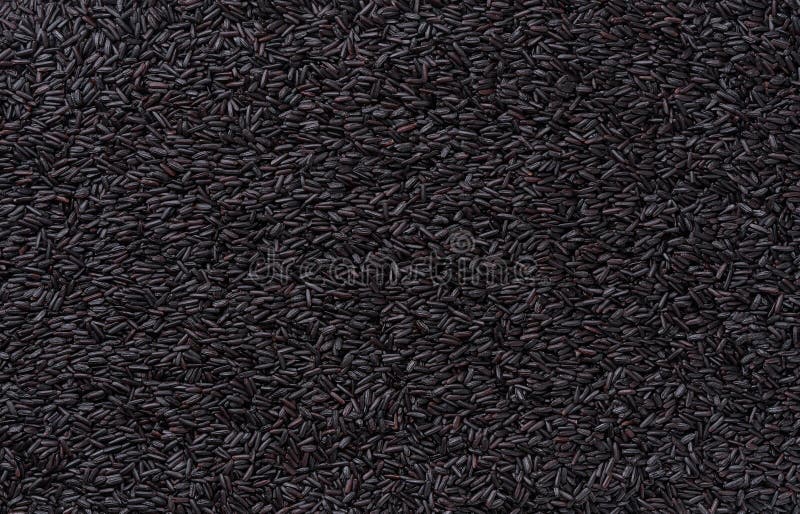 Black Rice Background Close-up with Copy Space for Text Stock Image ...