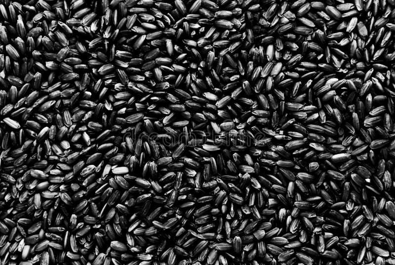 Black Rice Background Texture, Dark Wild Long Grain Natural Rice ...