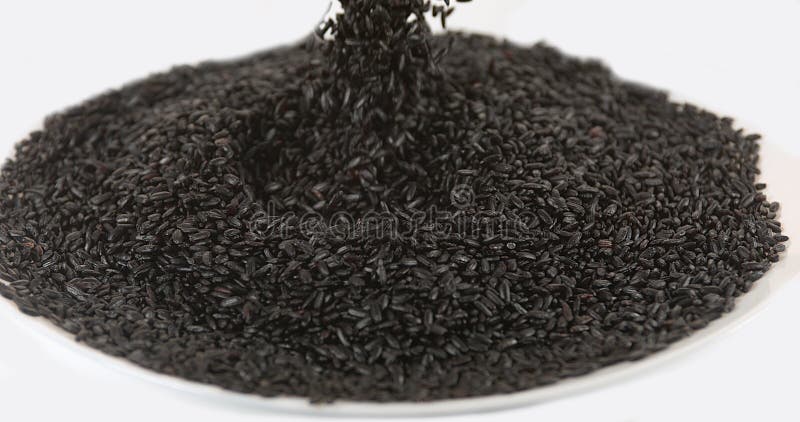 Black Rice Falling into Plate Stock Photo - Image of background, still ...