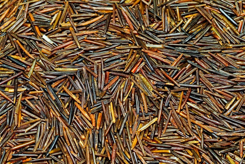 Black rice pattern stock image. Image of asian, grain - 15929113