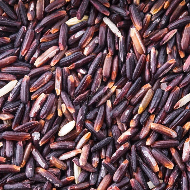 Wild Rice stock photo. Image of basmati, rice, grain, wild - 80120