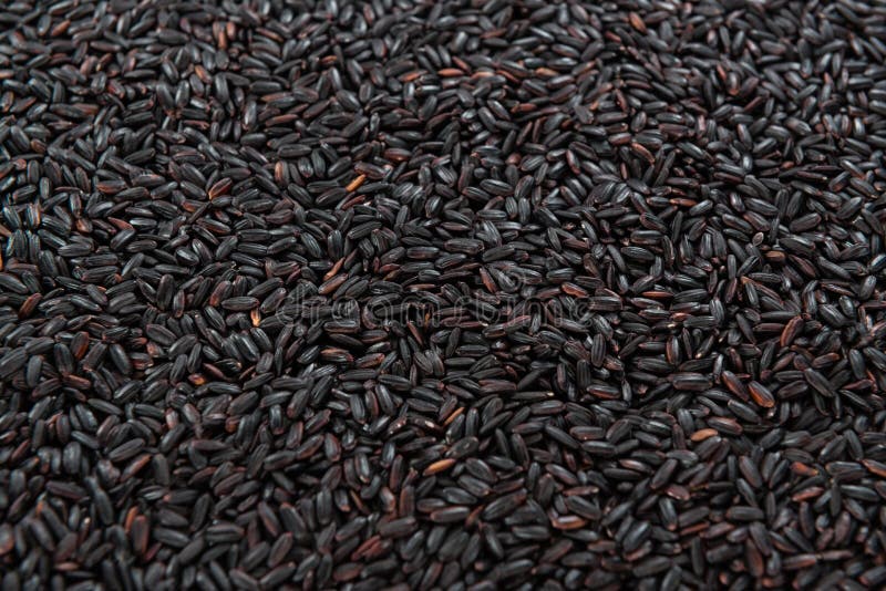 Black Rice (for Use As Background Image or As Texture) Stock Image ...