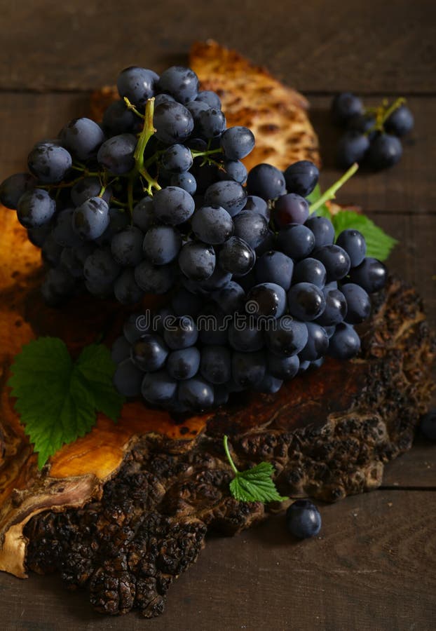 Black ripe organic grapes stock image. Image of dark - 154284149