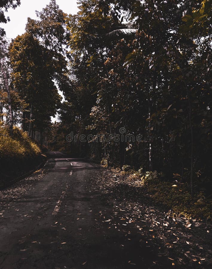 The Black Road in the Green Realm is Like a Black Fairy Stock Image ...