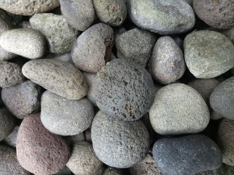 Black Rock River in the Garden Stock Photo - Image of rock, undertree ...