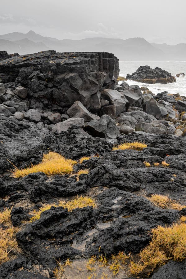 Icelandic Beach With Black Lava Rocks, Snaefellsnes Peninsula, Iceland ...