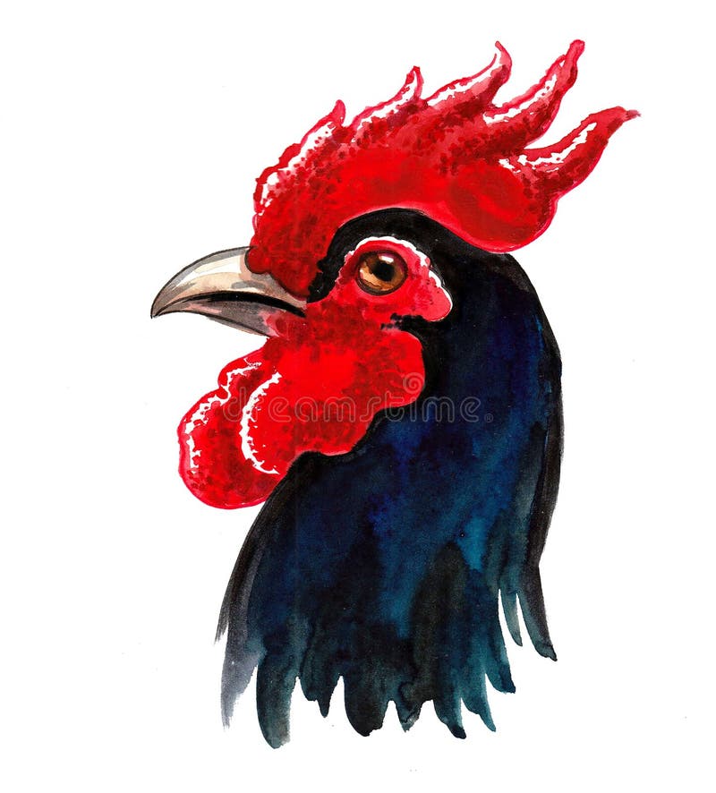Black Rooster Stock Illustrations – 12,463 Black Rooster Stock ...