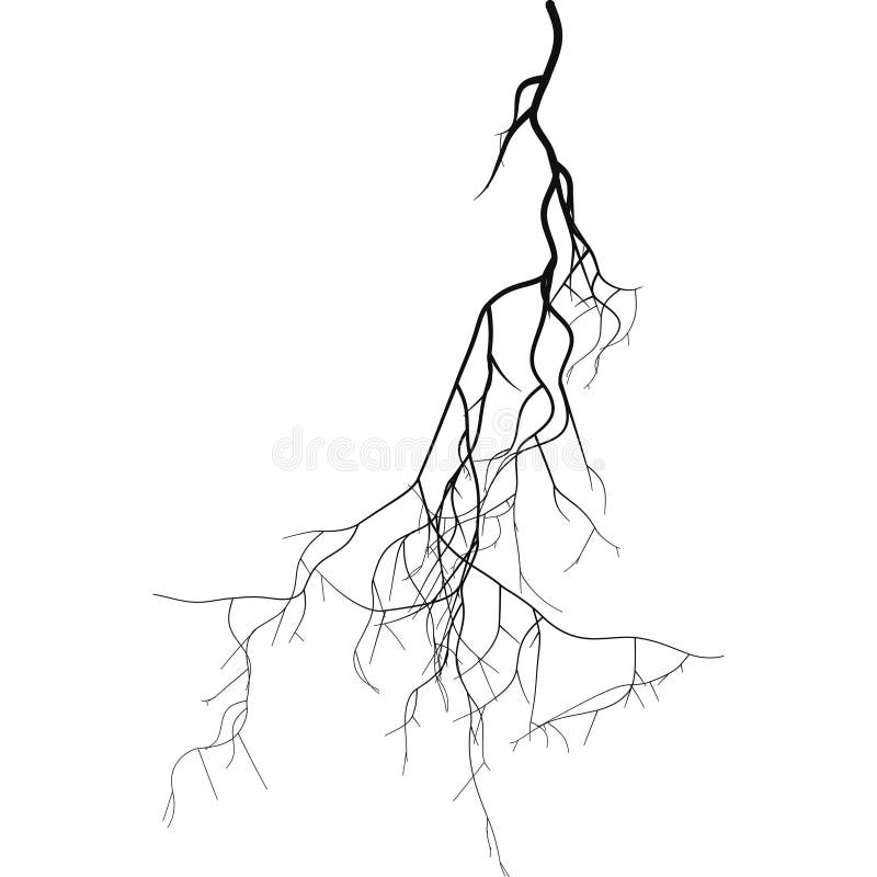 Black Root System - Vector Set Stock Vector - Illustration of fibrous ...