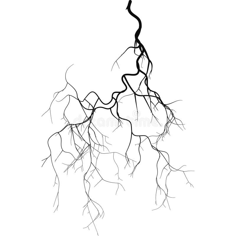 Black Root System - Vector Set Stock Vector - Illustration of circuit ...