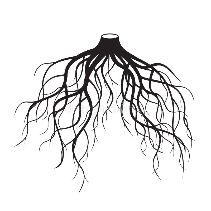 Black Roots Tree. Vector Illustration Stock Illustration - Illustration ...