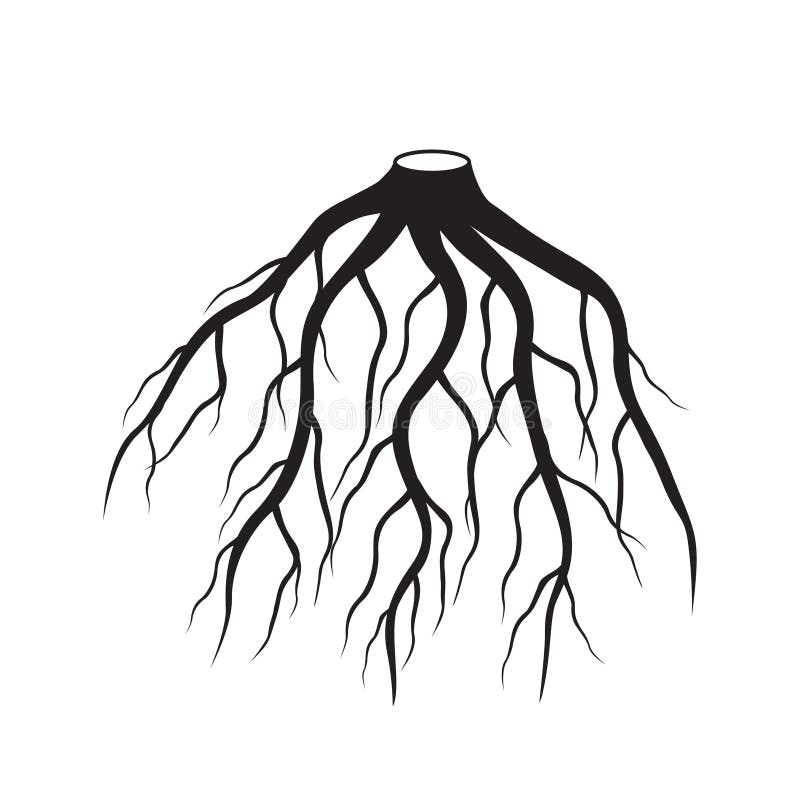 Black Roots Tree. Vector Illustration Stock Illustration - Illustration ...