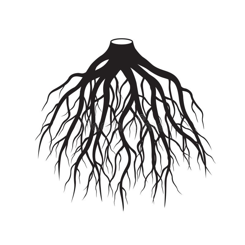 Black Roots Tree. Vector Illustration. Stock Vector - Illustration of ...