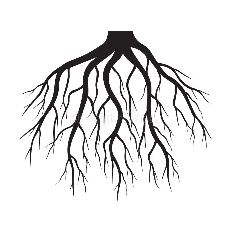 Black Roots. Vector Illustration. Stock Illustration - Illustration of ...