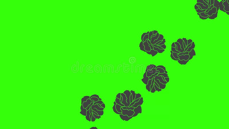 Black Roses Graphic Animation on Green Screen Video Element Stock Video ...