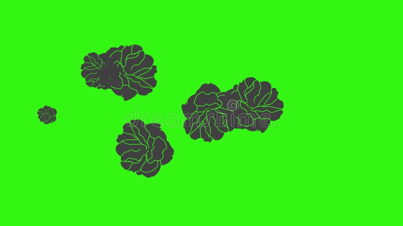 Black Roses Graphic Animation on Green Screen Video Element Stock Video ...