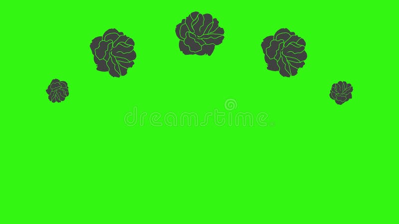 Black Roses Graphic Animation on Green Screen Video Element Stock ...