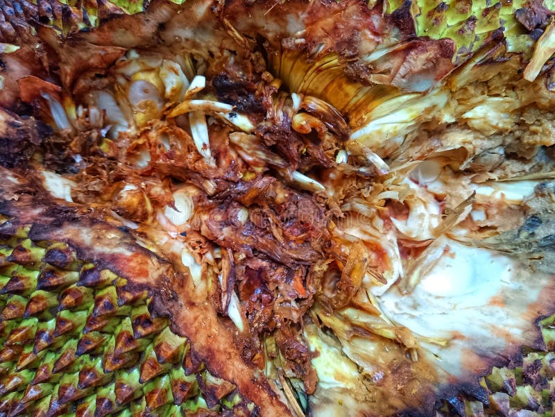 Close-up of Rotten Jackfruit Fruit Affected by Pests Stock Photo ...