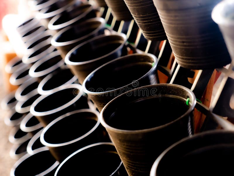 Black Round Plastic Pots in Rows Stock Photo - Image of decorative ...