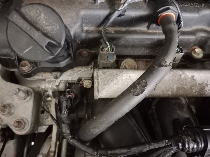 Black Rubber Cable Protector, on a Car Engine that Was Bitten by a Rat ...