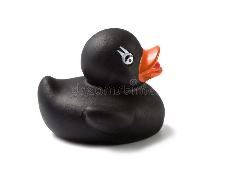 Black rubber ducky stock photo. Image of bathroom, isolated - 12007196