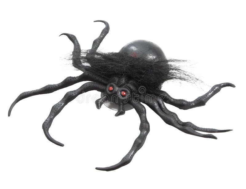 Black rubber spider stock photo. Image of joke, spider - 44498590