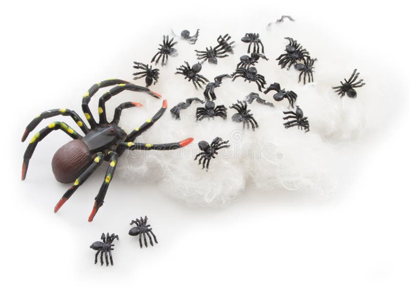 Black rubber spiders stock image. Image of tarantula - 44498499