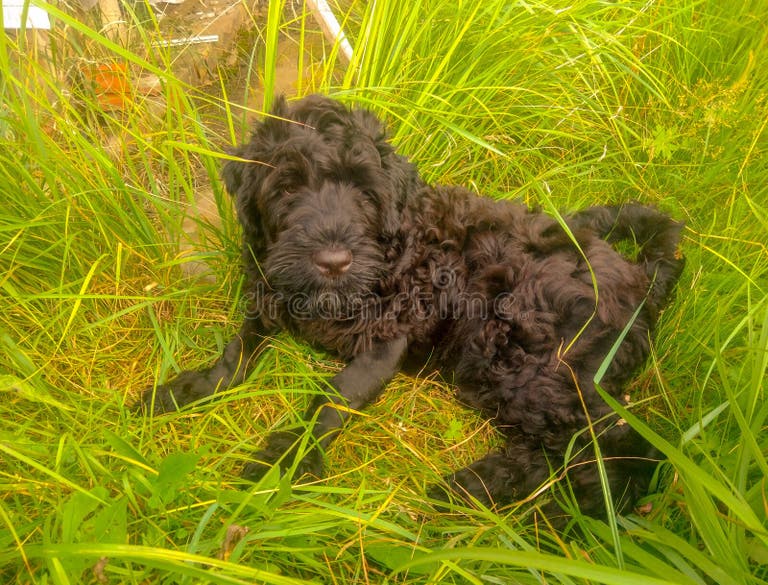 398 Freya Kennedy Stock Photos - Free & Royalty-Free Stock Photos from ...