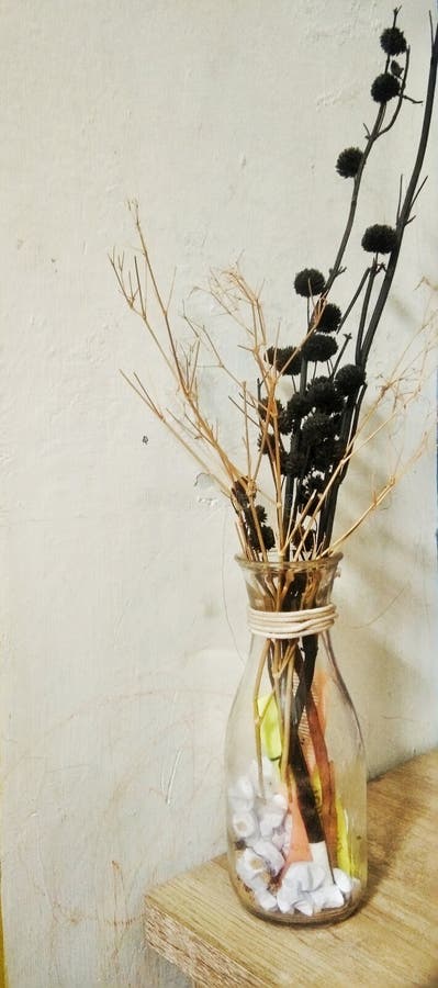 Black Rustic Vas Bottle Simple Minimalist Stock Image - Image of ...