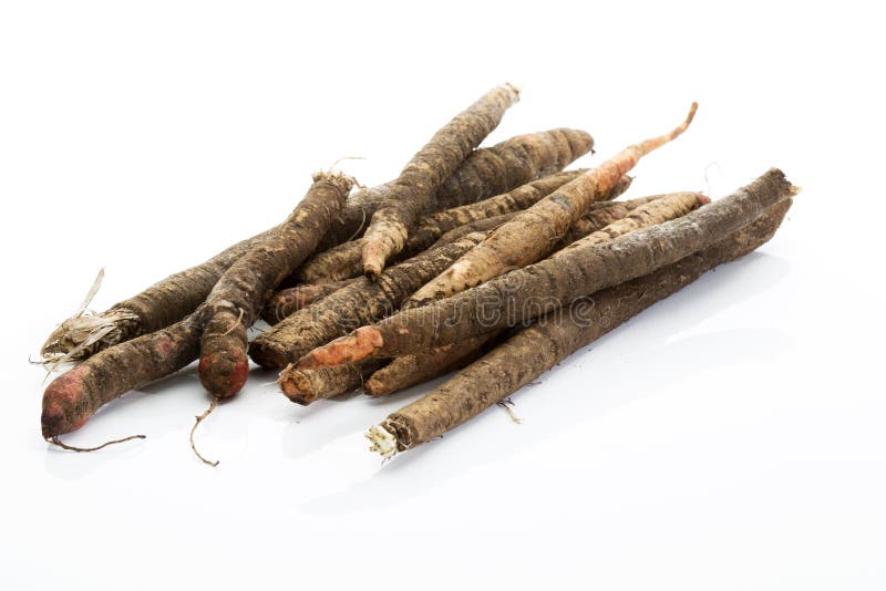 Black Salsify on White Background Stock Image - Image of salsifies ...