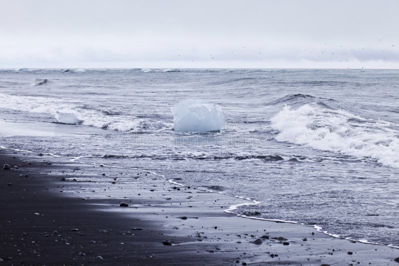 Black Sand Beach with Ice stock image. Image of ecology - 22025527