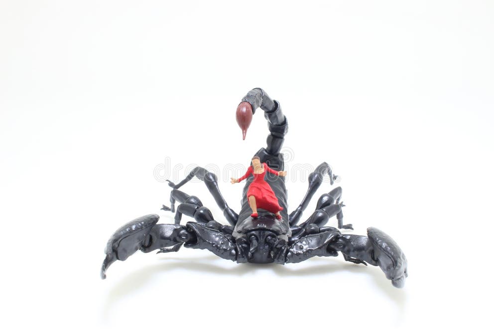 A Black Scorpion with the Evil on Board Stock Photo - Image of stinging ...