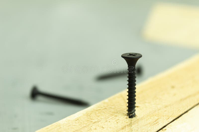 A Black is Screwed into the Board Stock Image - Image of carpentry ...