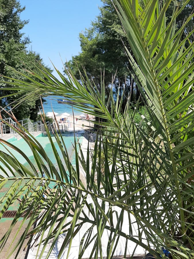 Black Sea Bulgaria Summer Nice Stock Photo - Image of nice, bulgaria ...